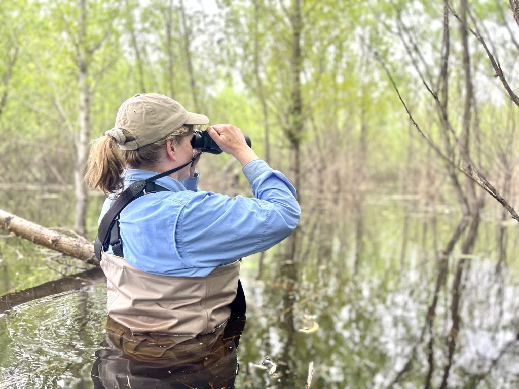 Wildlife & Habitat - Ecological Land ServicesEcological Land Services