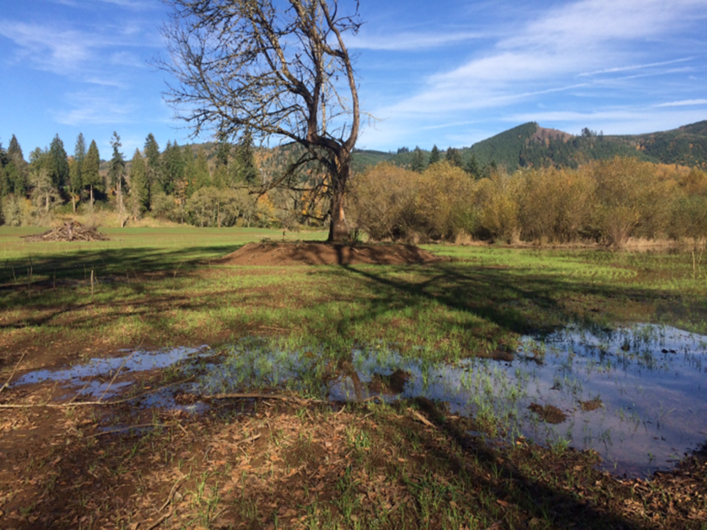 mitigation - Ecological Land ServicesEcological Land Services